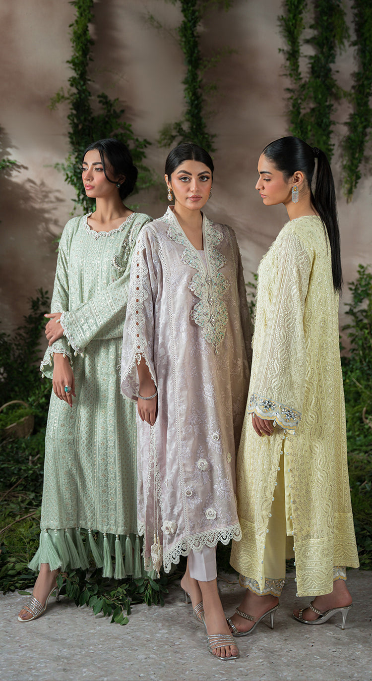 Luxury Velvet Kaftan Dress Designs in Pakistan – Ammara Khan